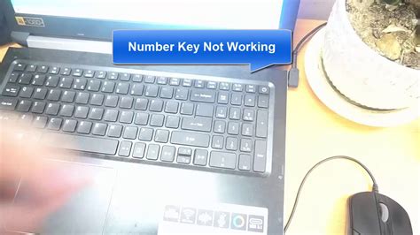 Num Lock Key Not Working Windows At Emily Armytage Blog