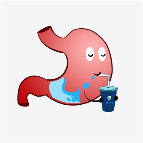 인체 일러스트 기관 소화기 사지 분홍색 위 위산 핑크 분홍색 위 Png 일러스트 및 Psd 이미지 무료 다운로드 Pngtree