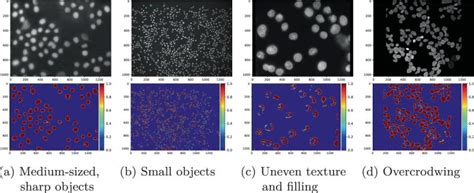 Luca Clissa On Linkedin Deeplearning Microscopy Bioimaging Aiforlifesciences Researchpaper