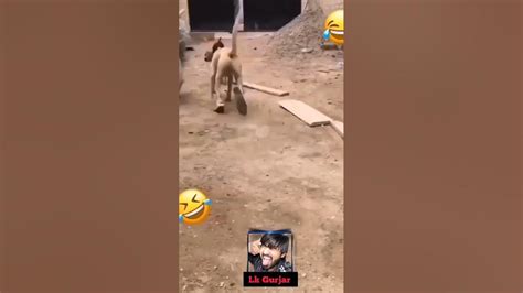 Mannu Khan 6385 Youtube