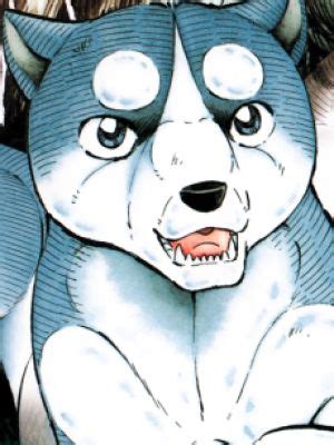 Ginga Densetsu Weed Ginga Legend Weed 2005 26 Episodes