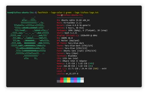 using fastfetch a neofetch alternative
