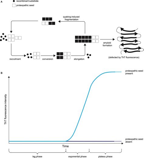 The Future Of Seed Amplification Assays And Clinical Trials Abstract Europe PMC