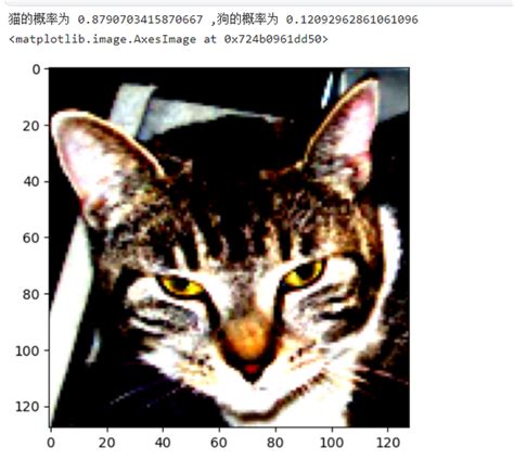 猫狗图像识别 预测准确率 70 知乎