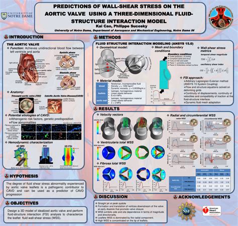 pdf predictions of wall shear stress on the aortic valve using a