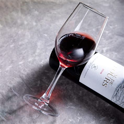 Paracity Wine Glasses Review