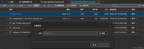 将Springboot项目部署到阿里云服务器运行 怎么使用这个alibaba cloud client把springboot项目放到阿里云服务