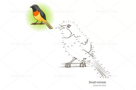 وکتور نقاشی نقطه ای پرنده زیبا گرافیک با طعم تربچه