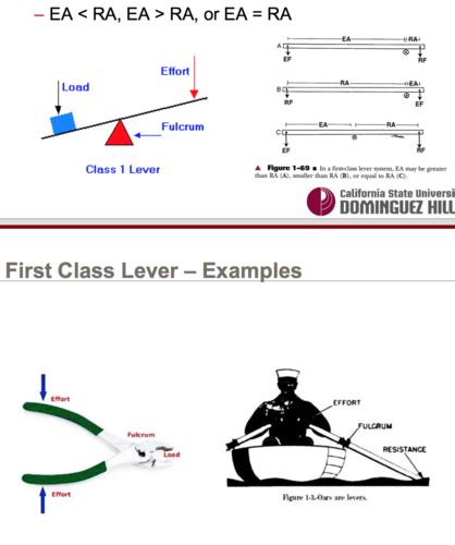 Introduction To Biomechanics Of Motion And Normal Human Locomotion Flashcards Quizlet