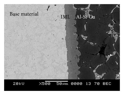 Cross Sectional Bse Micrographs Of Aluminized Samples A A Low