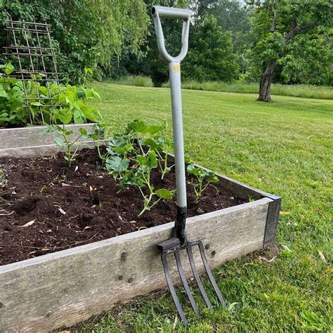16 Essential Tools Every New Gardener Should Have Plantisima