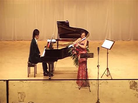 长笛与钢琴 阳光灿烂照天山 吴越演奏 音乐视频 搜狐视频