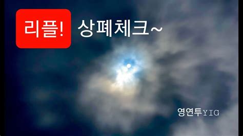 리플 상폐체크~ Youtube