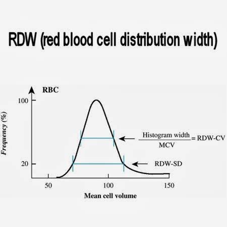 Medical Laboratory And Biomedical Science Red Blood Cell Distribution Width Predicts Survival