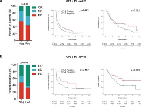 predictive value of tls status according to cps pd l1 scores objective