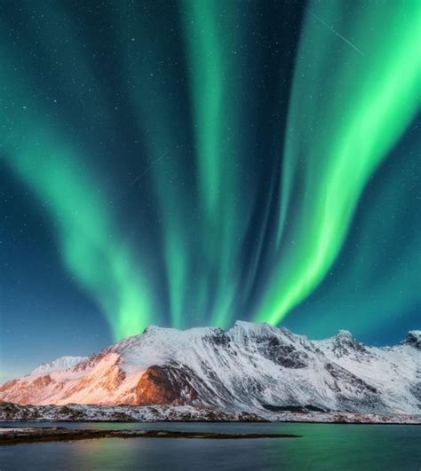 Ntt Datas Ai And Sustainability Whitepaper Paul Schuster Posted On