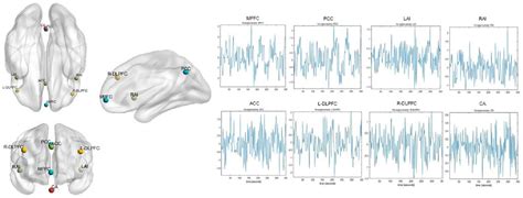 Table 1 From Abnormal Resting State Effective Connectivity In Large Scale Networks Among