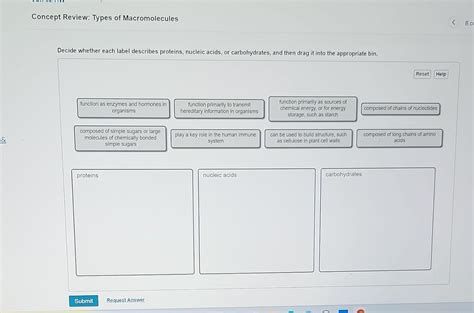 Solved Concept Review Types Of Macromolecules