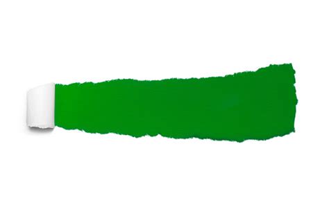 텍스트에 대 한 공간을 가진 녹색 종이 배경 위에 찢어진된 양쪽으로 흰 종이에 구멍 웹 광고에 대 한 찢어진된 종이 종이에 대한 스톡 사진 및 기타 이미지 Istock