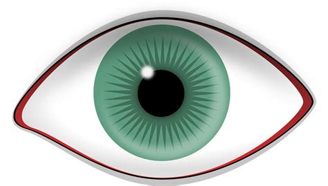Vector Eyes 11 000 Free Eye Graphics Clipart And Art Pixabay