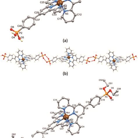 A The Structure Of The [rh 1 2]³⁺ Cation In The Complex Download Scientific Diagram