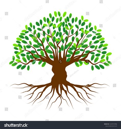 Vector Tree Roots Trees Isolated Green Stock Vector Royalty Free