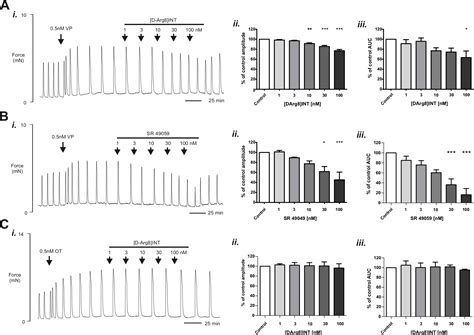 Video Contractility Measurements Of Human Uterine Smooth Muscle To Aid