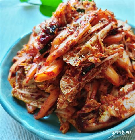 즉석 겉절이김치 찹쌀풀 없이 절이지 않고 만드는 초간단 알배추김치 양념