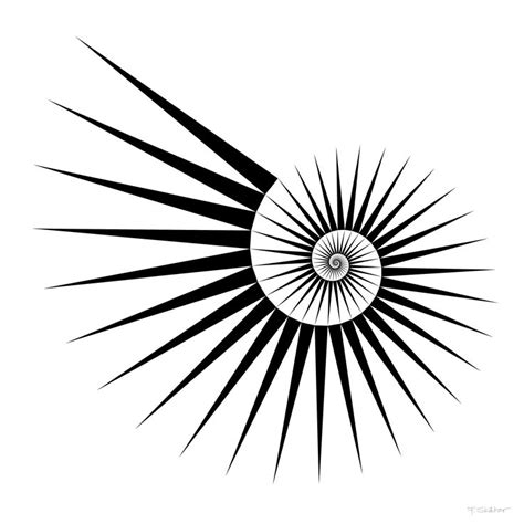 Fibonacci 02 Etsy How To Draw Hands Fibonacci Spiral Fibonacci