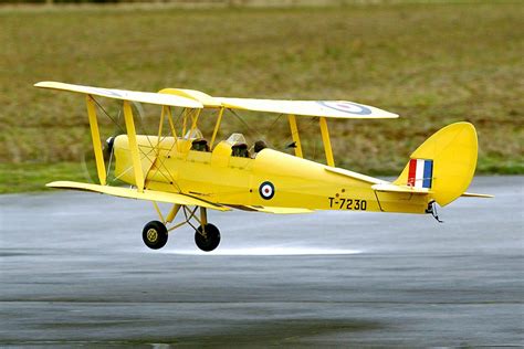 14 Dehavilland Tiger Moth Biplane Scale Rc Model Airplane Printed