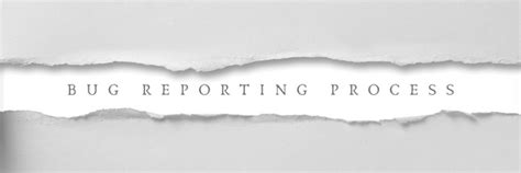 Bug Reporting Process Bugs Are An Inevitable Part Of Software By
