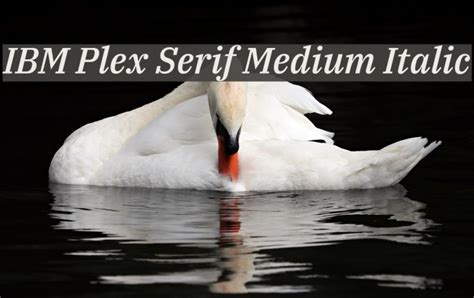 IBM Plex Serif Medium Italic Font FFonts Net IBM Plex Serif Medium Italic Font FFonts Net