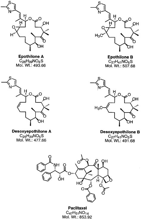 Structure Of Epothilones A And B And Desoxy Derivatives Download