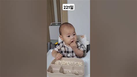 221일아기 간식 스스로 먹기 도전 Youtube