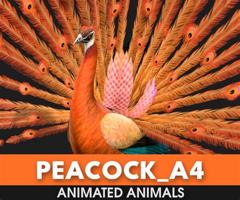 Artstation Peacocka4 Game Assets
