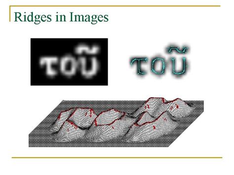 Robust Image Topological Feature Extraction Krlis Freivalds Paulis