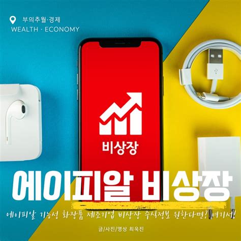 에이피알 Apr 기능성 화장품 제조기업 비상장 101 주식정보 원한다면 네이버 블로그