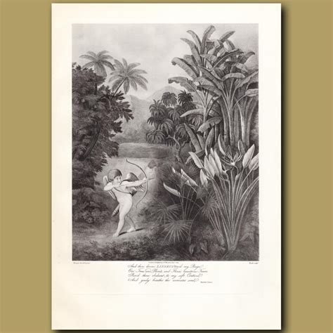 Cupid Inspiring Plants With Love Genuine Antique Print For Sale