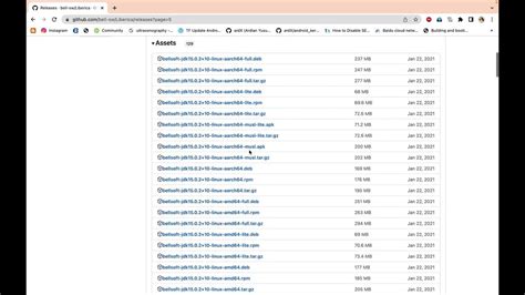 Cara Download Bellsoft Jdk 15 Full Dari Github Youtube