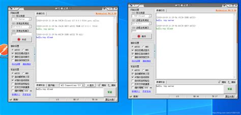 windows下的tcp udp网络调试工具 netassist以及linux下的nc网络调试工具 csdn博客