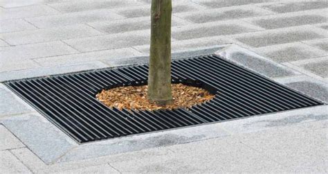 How Tree Grates Impact The Security Of Trees In Urban Areas