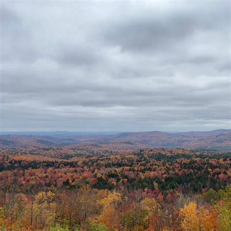 Liam Kimball Youtube