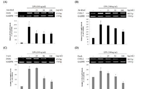 Inhibitory Effects Of Abeliophyllum Distichum Nakai Leaves On The Mrna Download Scientific