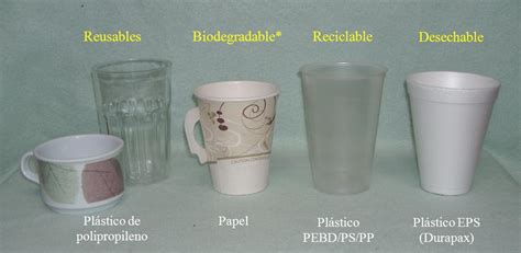 Guanacos Verdes Vasos Desechables ¿quÉ Opciones Existen