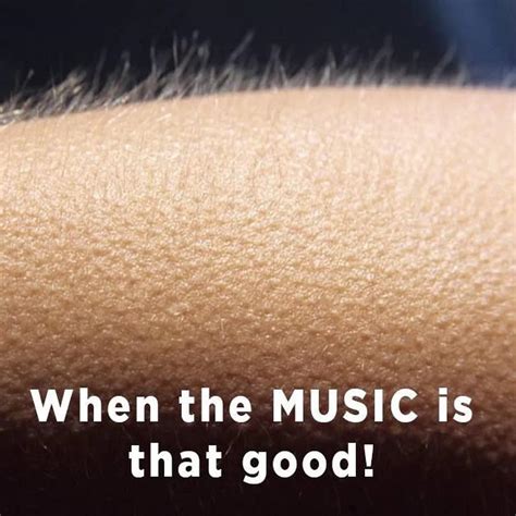 Piloerection White Papers