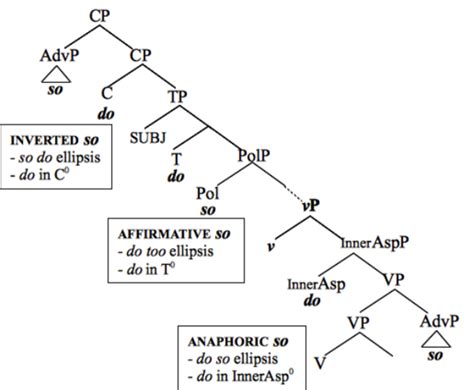 syntax of inverted so affirmative so and anaphoric so download