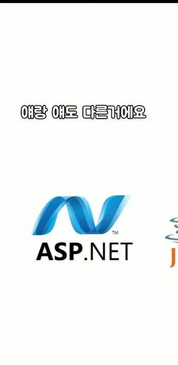 프로그래밍 언어의 차이 이름이 비슷한 언어 youtube