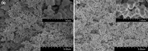 Sem Morphologies Of The Nanoparticles A Cuo And B Tio2 Download