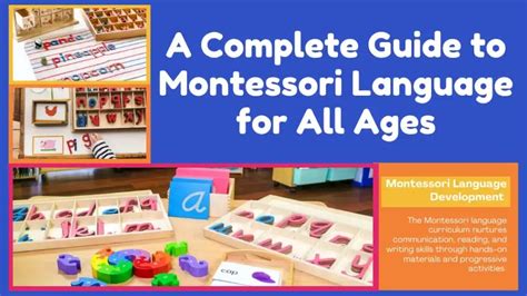 A Complete Guide To Montessori Language For All Ages