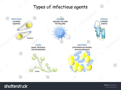 Infectious Agents Photos And Images And Pictures Shutterstock